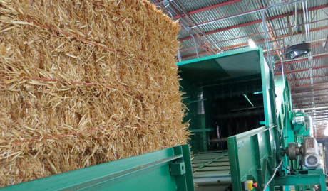 Green Building USGBC Approves Recycled Compressed Straw Board